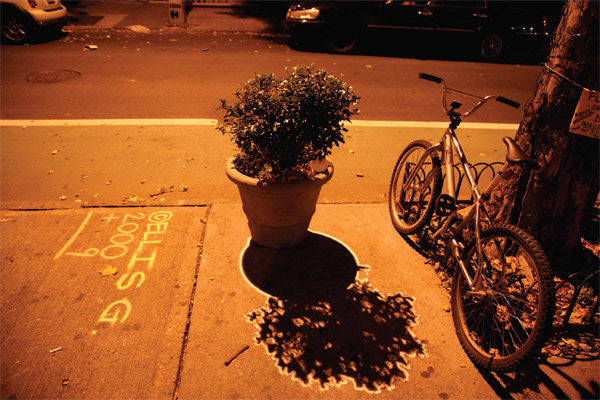 ELLIS G. - Planter | DirtyPilot