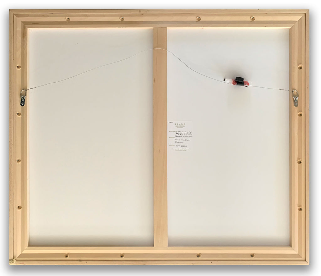 LEE & SHARP- 1991 | DirtyPilot